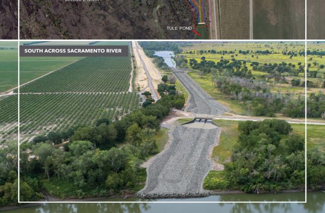 Related Projects – Tule Canal Enhancement